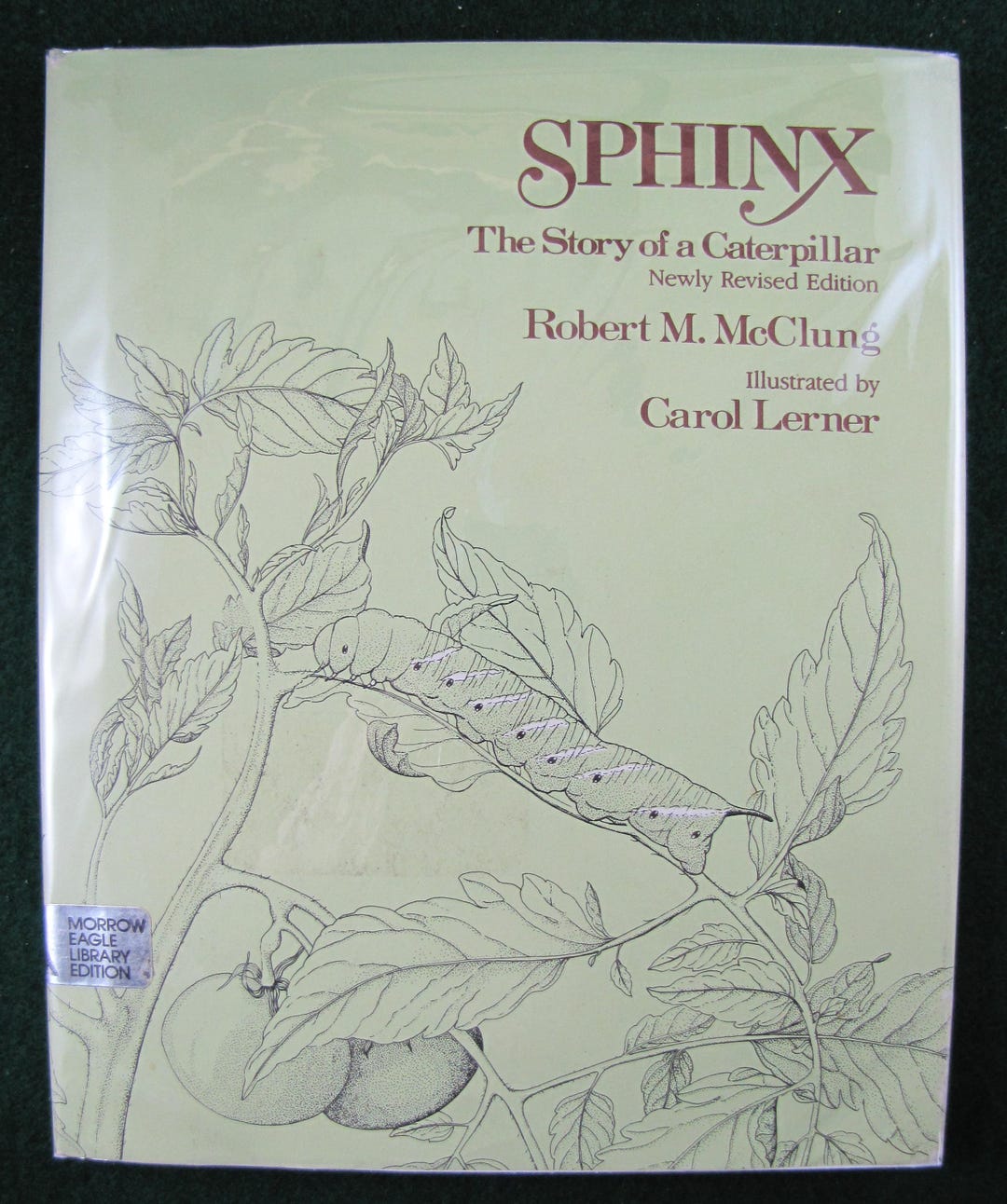 Sphinx: the Story of a Caterpillar // 1981 Hardback W Jacket & Brodart ...