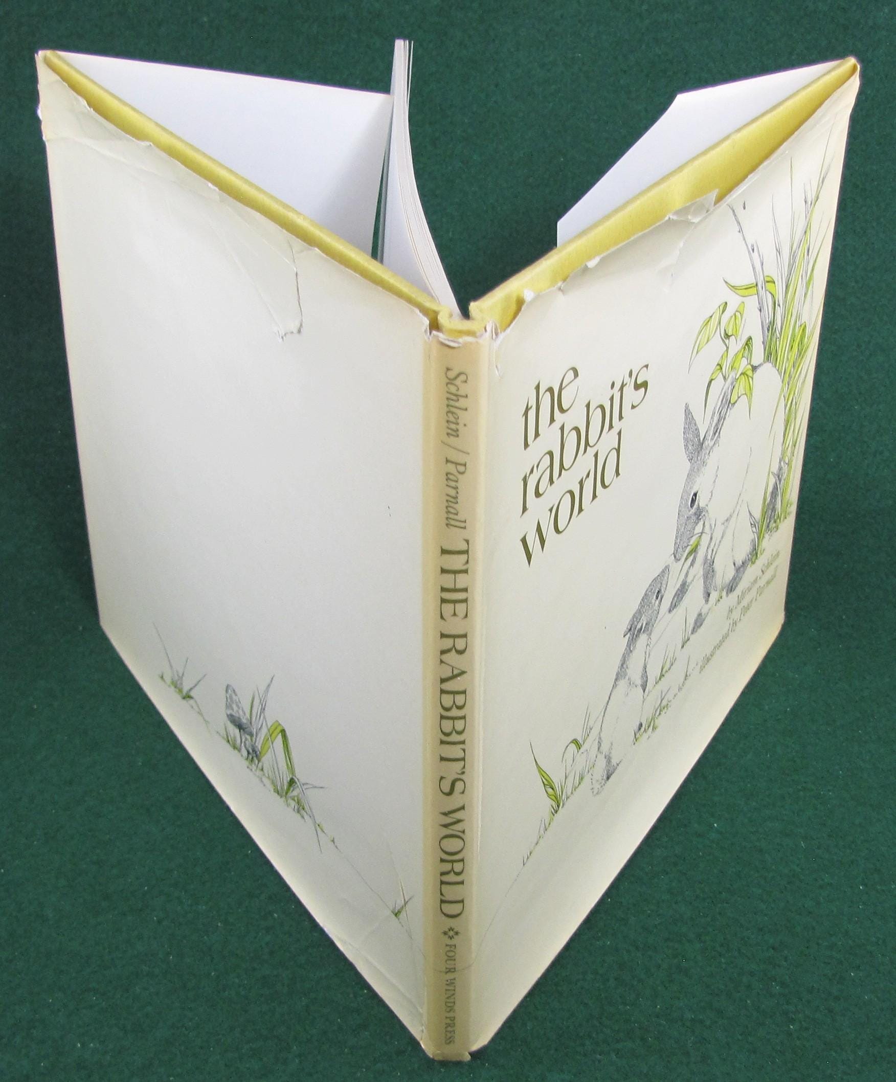 The Rabbit's World, 1972 1st Edition, Children's Picture Book - Etsy
