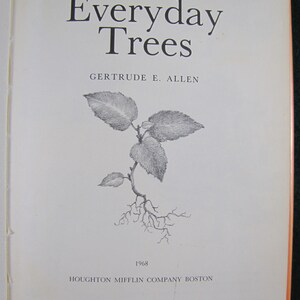 Everyday Trees // SCARCE TITLE 1968 Hardback W Jacket/cover // Gertrude ...