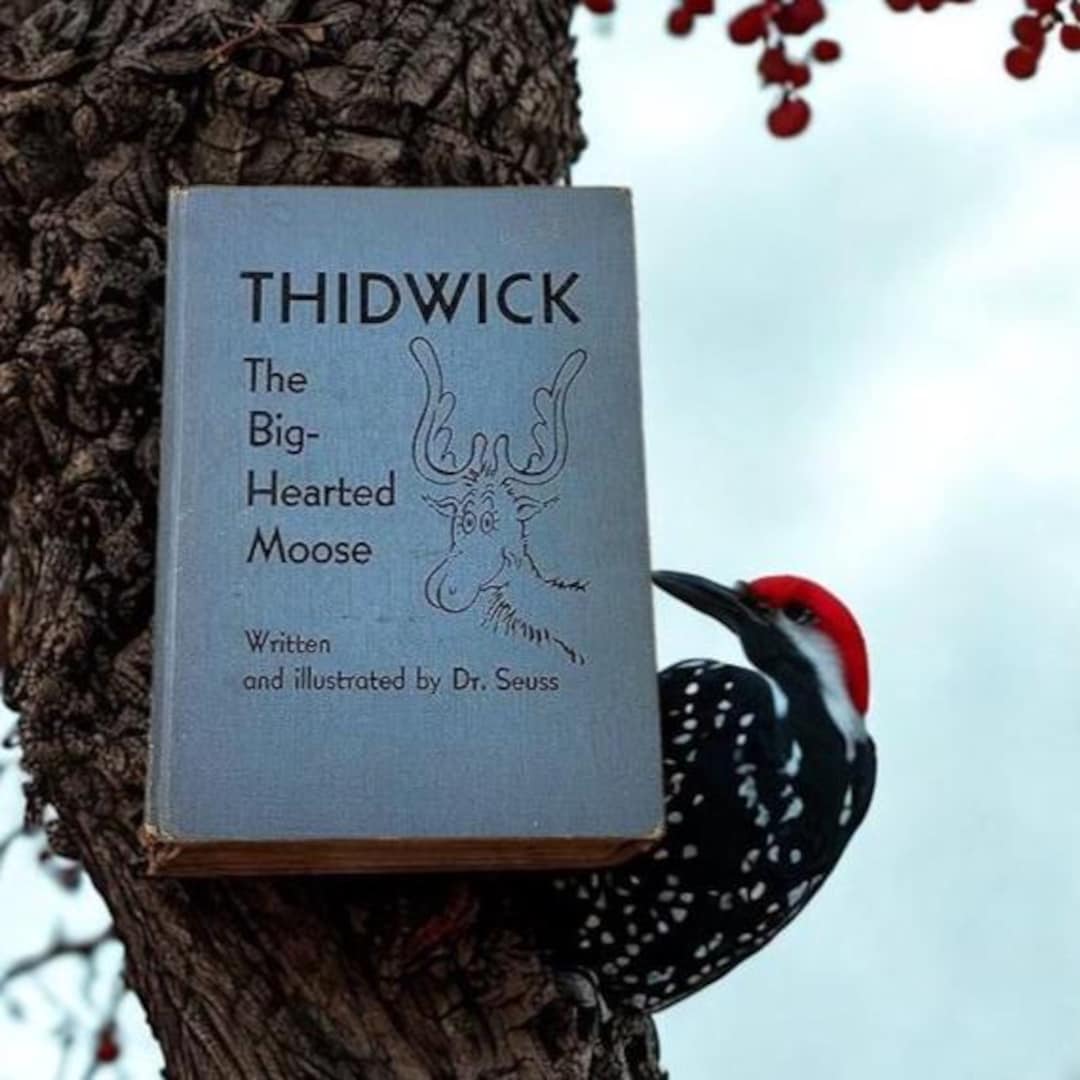 Thidwick the Big-hearted Moose, Dr. Seuss, 1948 Hardback Book - Etsy
