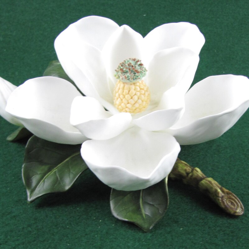 Magnolia Fine China - Etsy