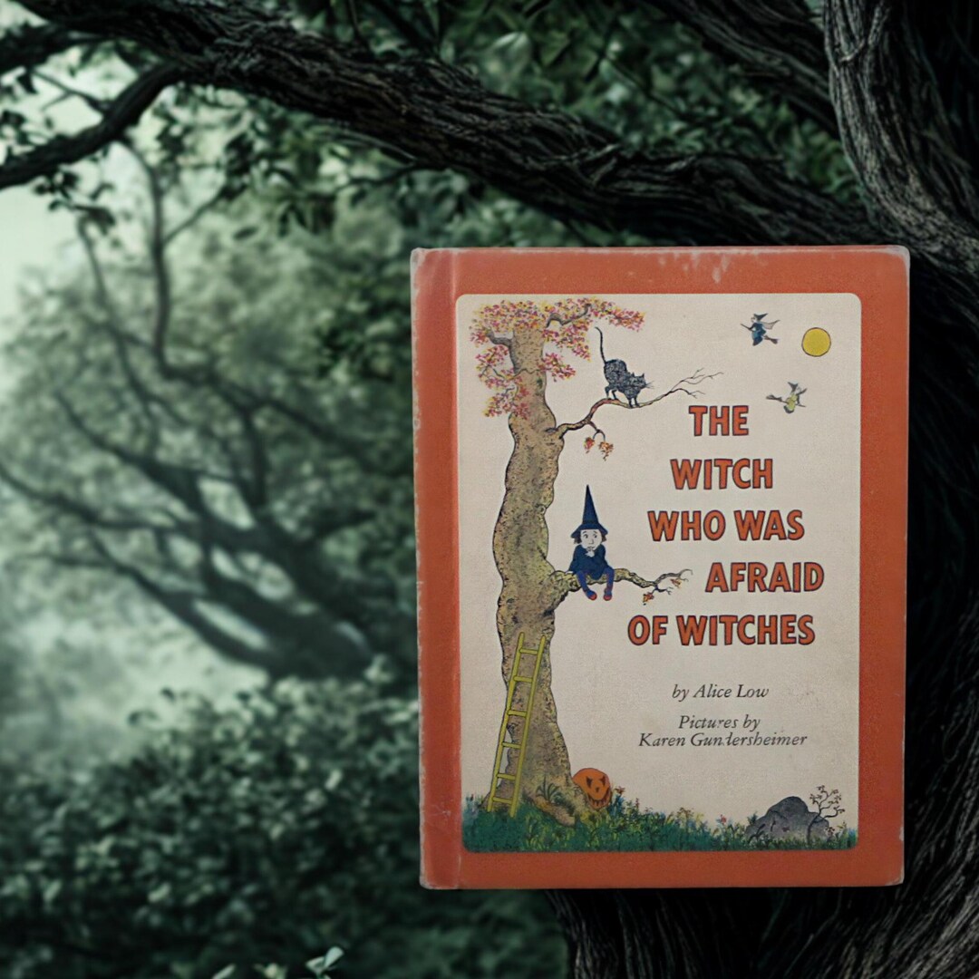 The Witch Who Was Afraid of Witches // 1978 Hardback // Children's ...