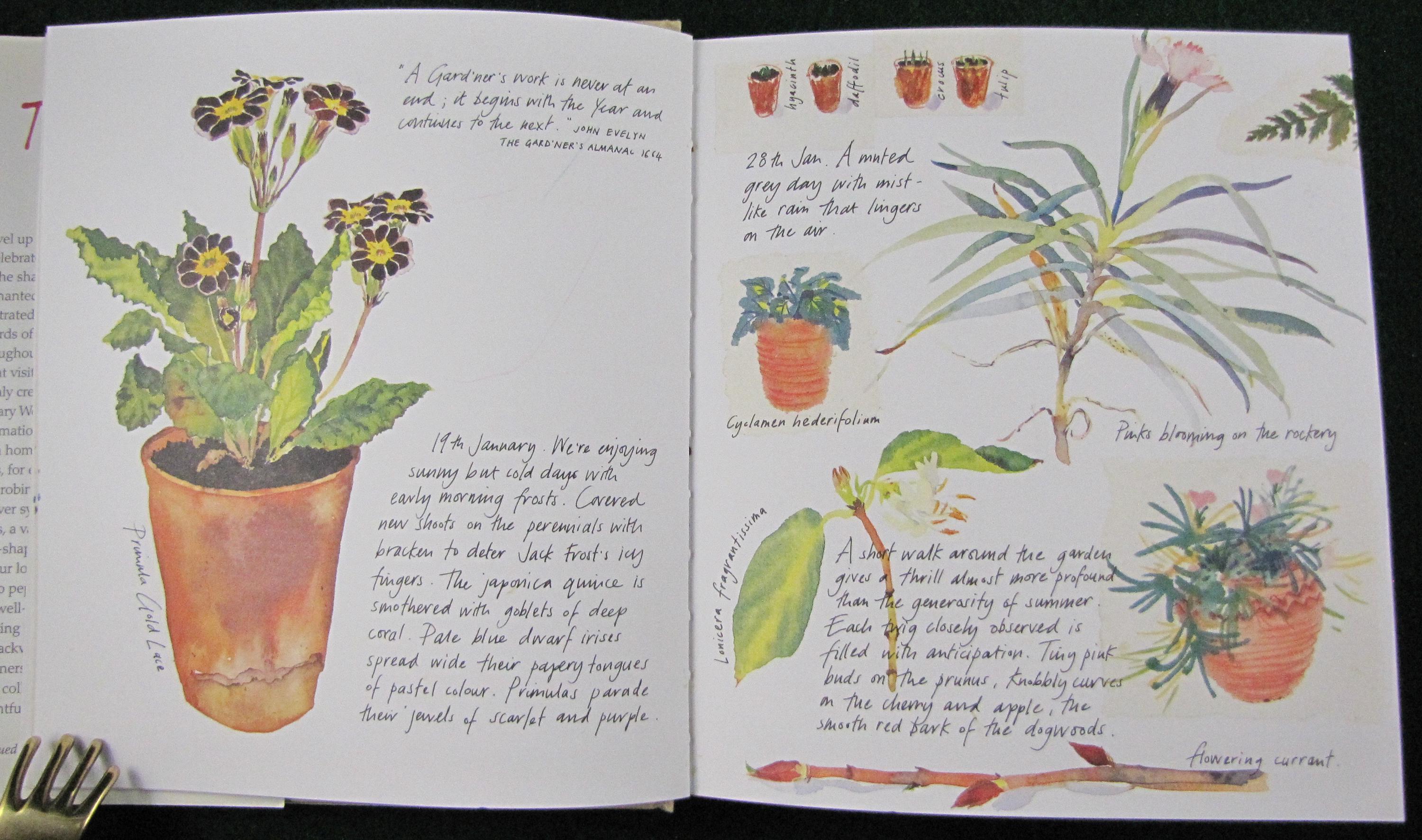 The Painted Garden // 2000 Hardback Book W Jacket // A Year in Words ...