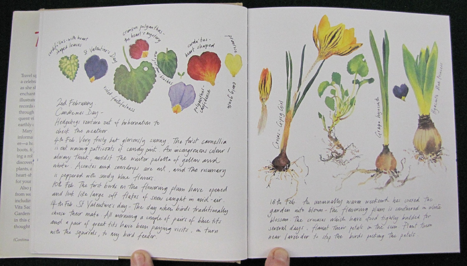 The Painted Garden // 2000 Hardback Book W Jacket // A Year in Words ...