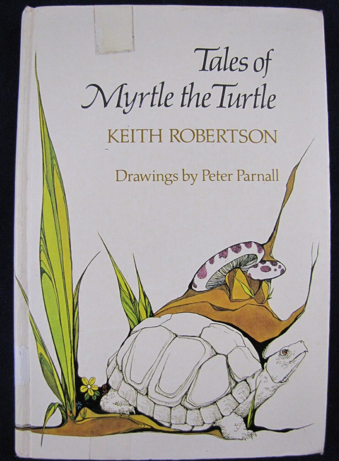 Tales of Myrtle the Turtle // 1974 Hardback, First Edition // Young ...
