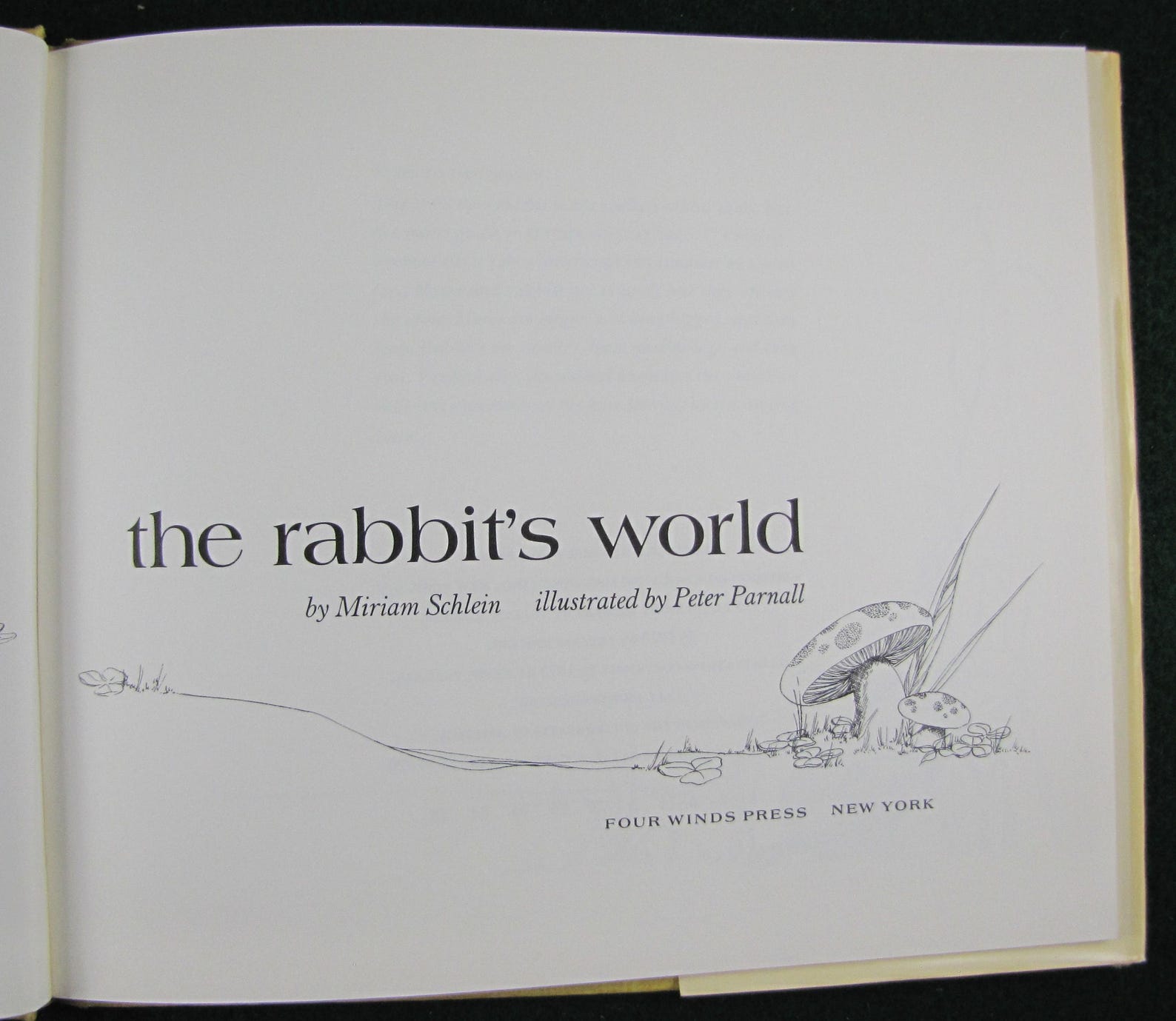 The Rabbit's World, 1972 1st Edition, Children's Picture Book - Etsy