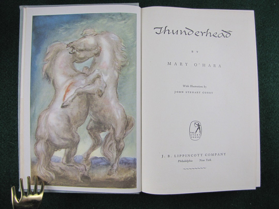 Thunderhead // 1943 Hardback // Young Reader Sequel to My Friend Flicka ...