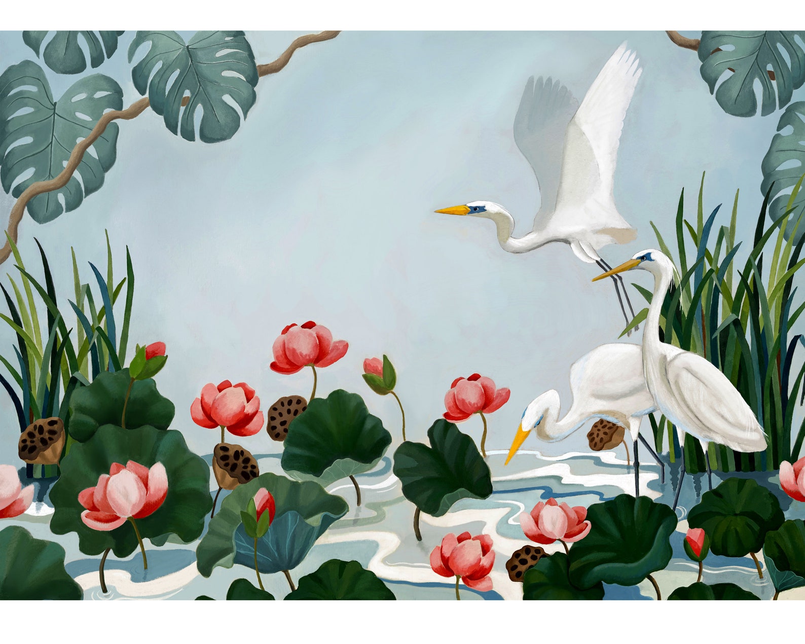 Egrets And Water Lilies Print Bird Print Giclee Art Print Etsy egrets-and-water-lilies-print-bird-print-giclee-art-print-etsy