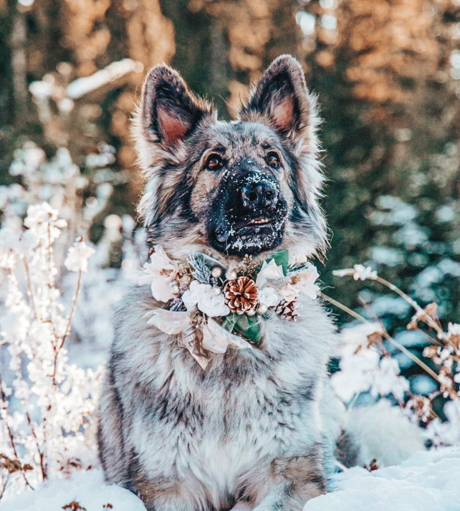100% CUSTOM Pet Flower Collar Flower Crown Pet Wreath Faux - Etsy