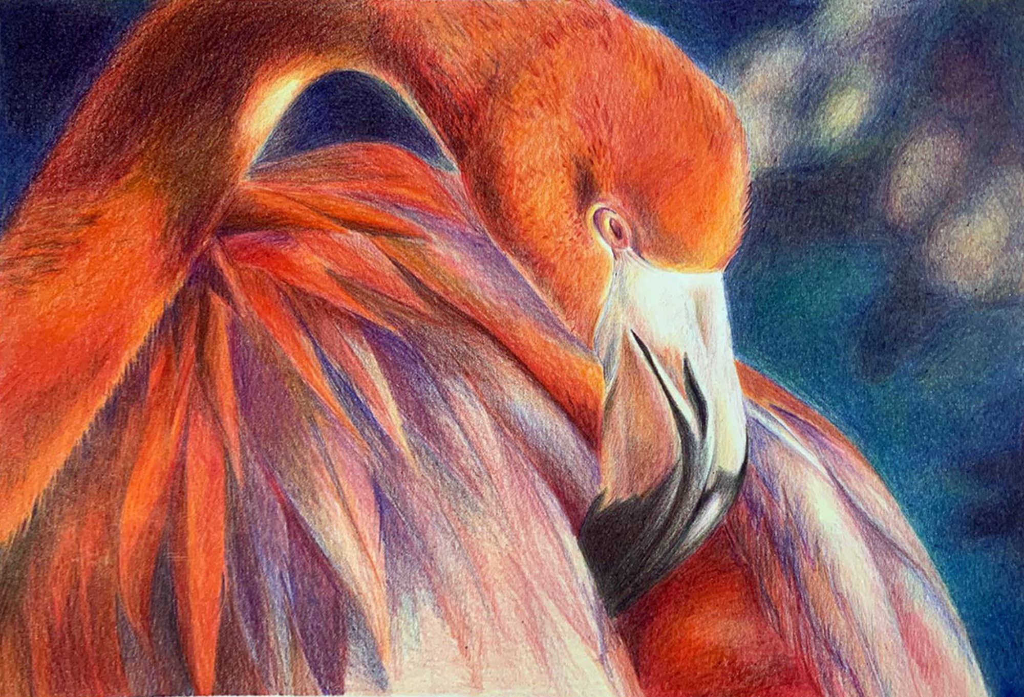 Bird Drawing, Modern Art, Crayon Drawing - Flamingo - Etsy UK