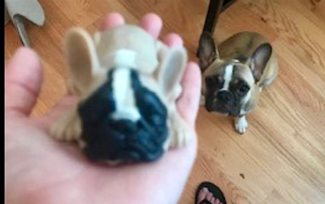 Custom French Bulldog Soap, Made to Look Like Your French Bulldog Gift ...