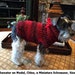 Green Medium Multi Dog Sweater, Hand Loom Knit, Acrylic Dog Sweater ...