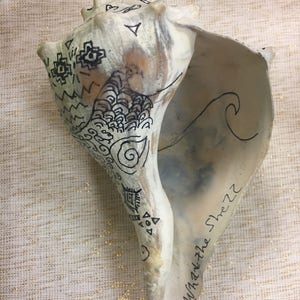 Conch Shell - Etsy