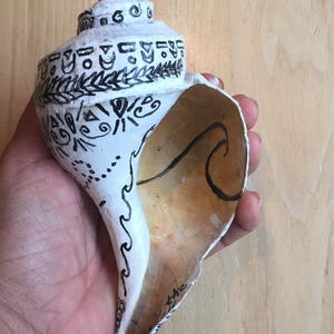 Conch Shell - Etsy