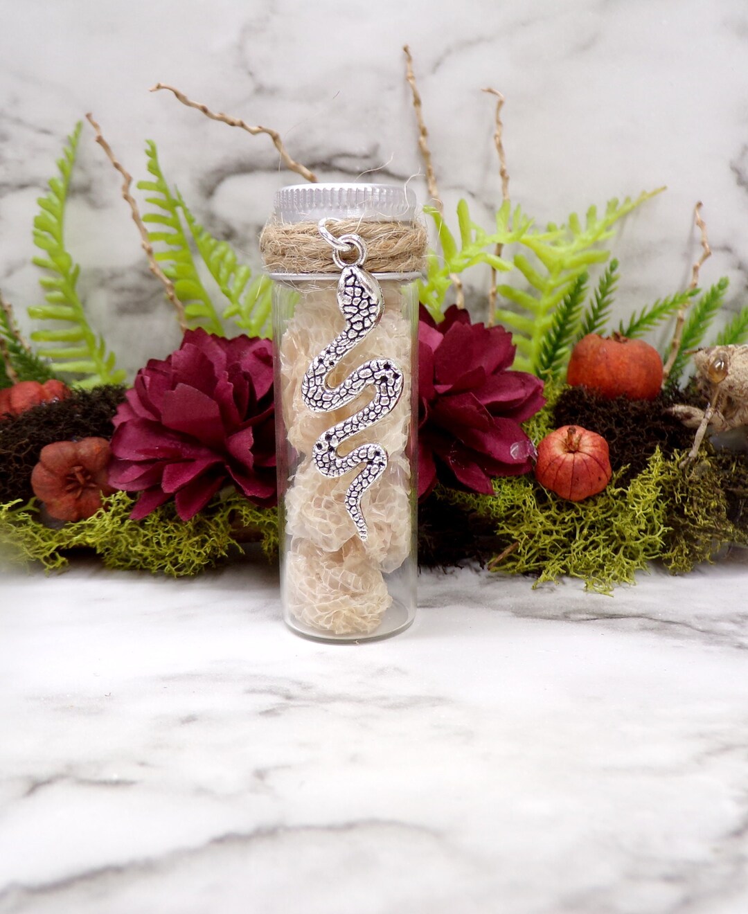 One Snake Skin Shed Vial Real Snake Skin Curiosities Taxidermy Altar ...