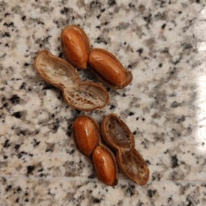 Simple Southern Snack - Boil-the-bag Peanuts - Boiled Peanuts Kit [2 ...