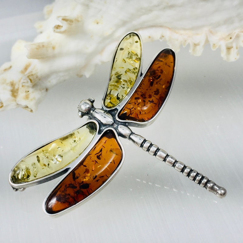 Dragonfly in Amber - Etsy