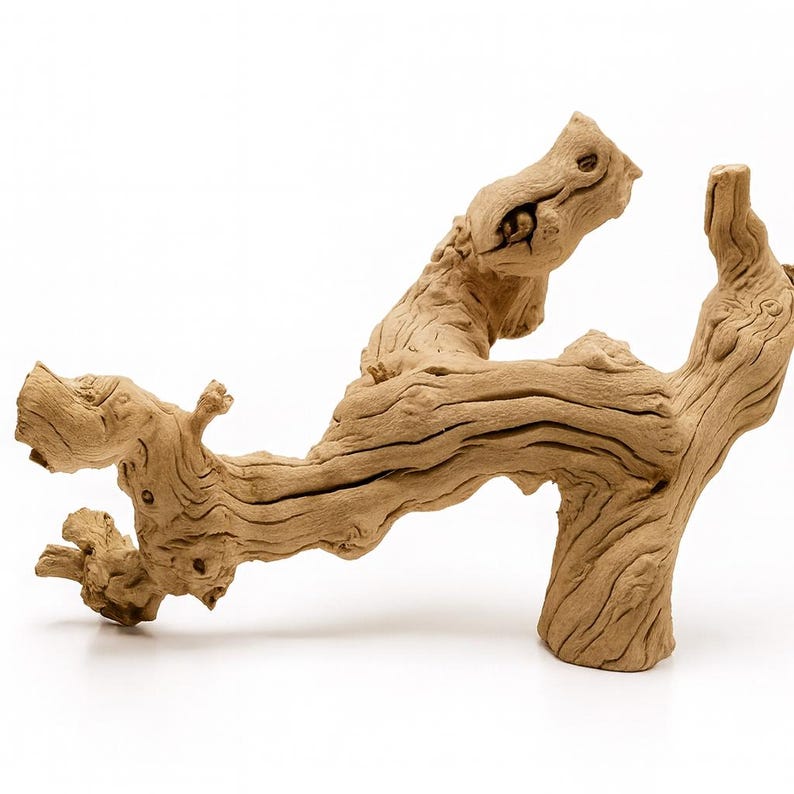 Sandblasted Grapevine Wood – 12” Natural Driftwood | Terrarium ...