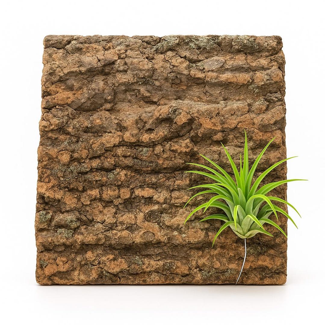 Virgin Cork Bark Flats - Pick Your Size | Natural Mounts for Air Plants ...
