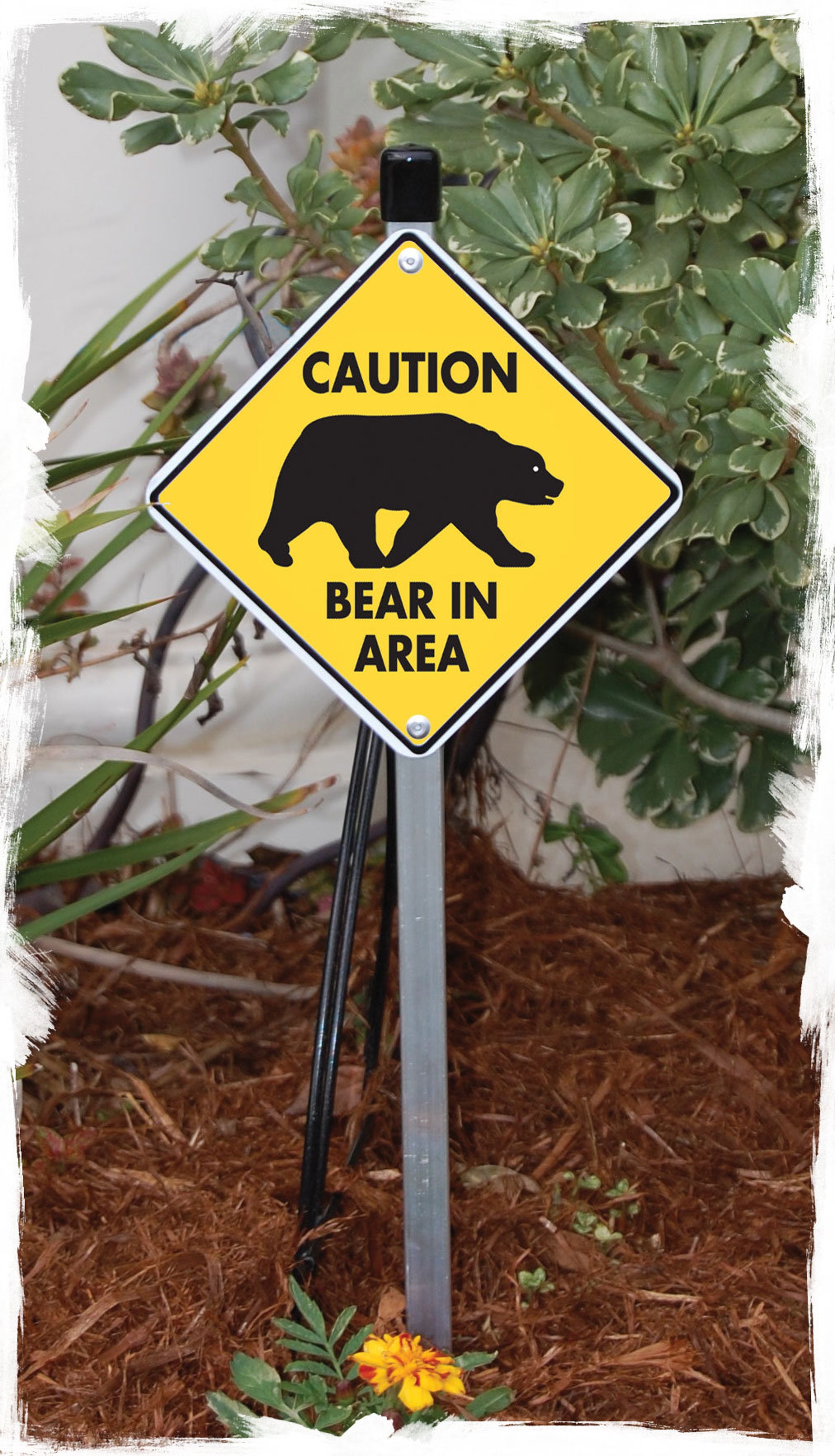 Caution Bear in Area Aluminum Bear Sign or Vinyl Sticker - Etsy