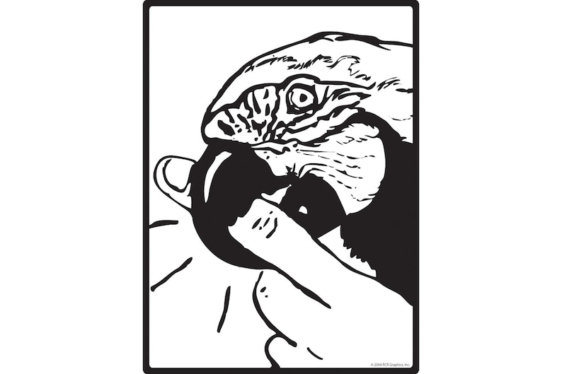 Warning Parrot Biting Finger Aluminum Parrot Sign 9 X - Etsy