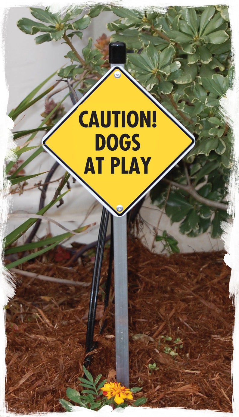 Caution Dogs at Play Aluminum Dog Sign and Sticker | Etsy