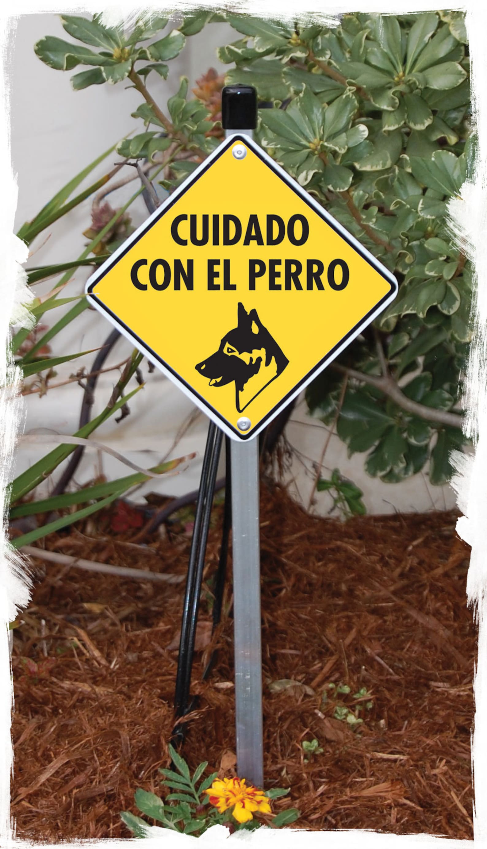 Cuidado Con El Perro (spanish Beware of Dog) Aluminum Dog Sign or Vinyl ...
