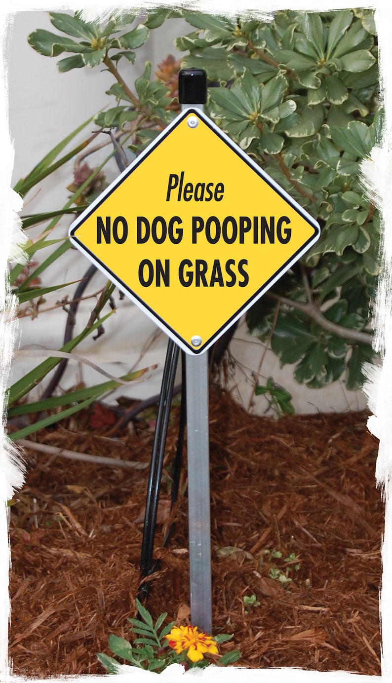 No Dog Pooping on Grass Exterior Rust Free No Dog Pooping Aluminum Sign ...