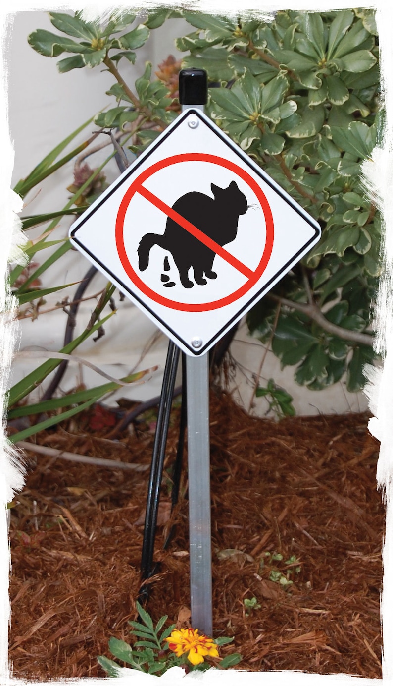No Cat Pooping With Cat Pooping Image Aluminum Sign or Vinyl - Etsy