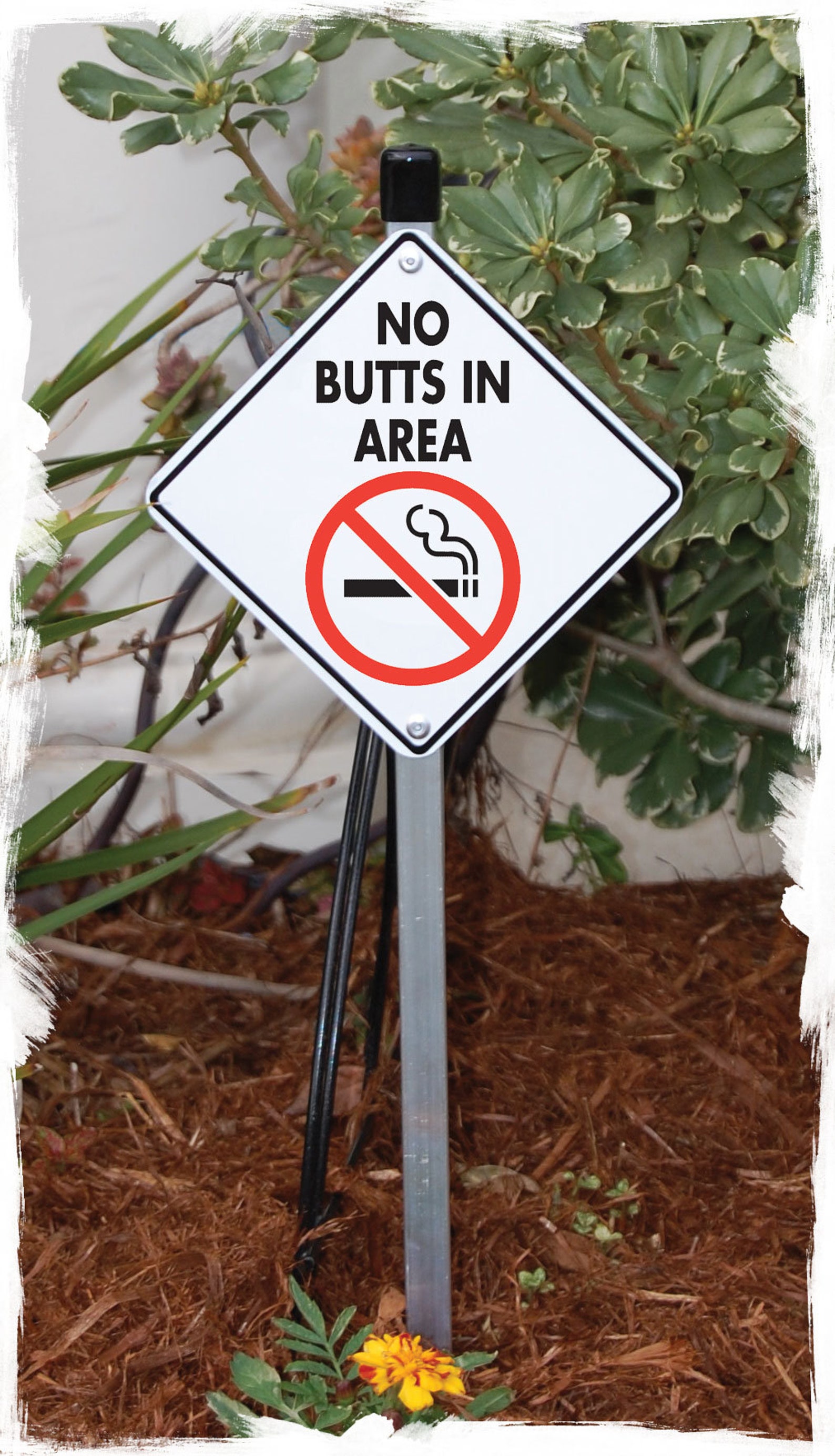 Warning! No Cigarette Butts in Area With Symbol Aluminum Sign or Vinyl ...