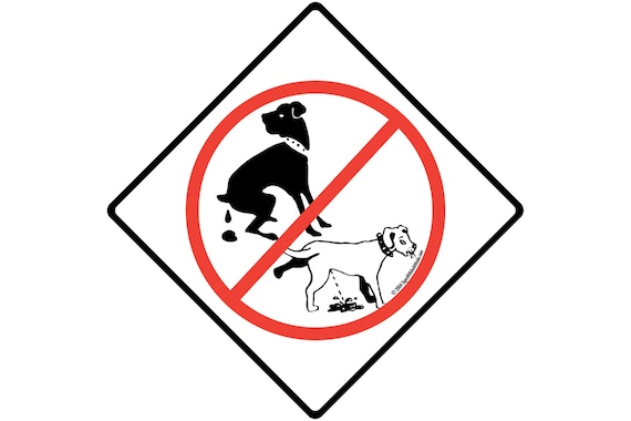 No Hay Señal De Orina De Perro