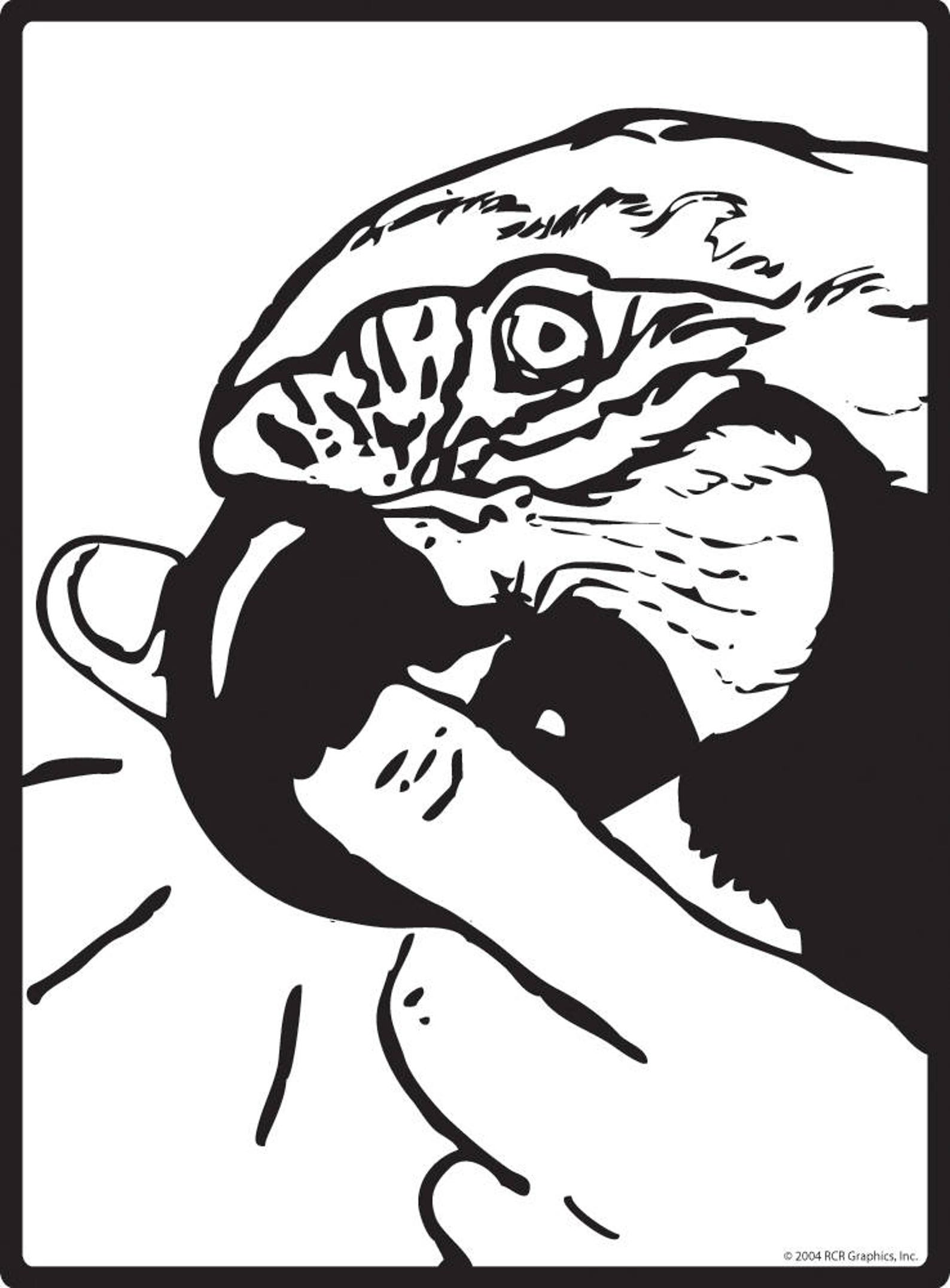 Warning Parrot Biting Finger Aluminum Parrot Sign 9 X - Etsy