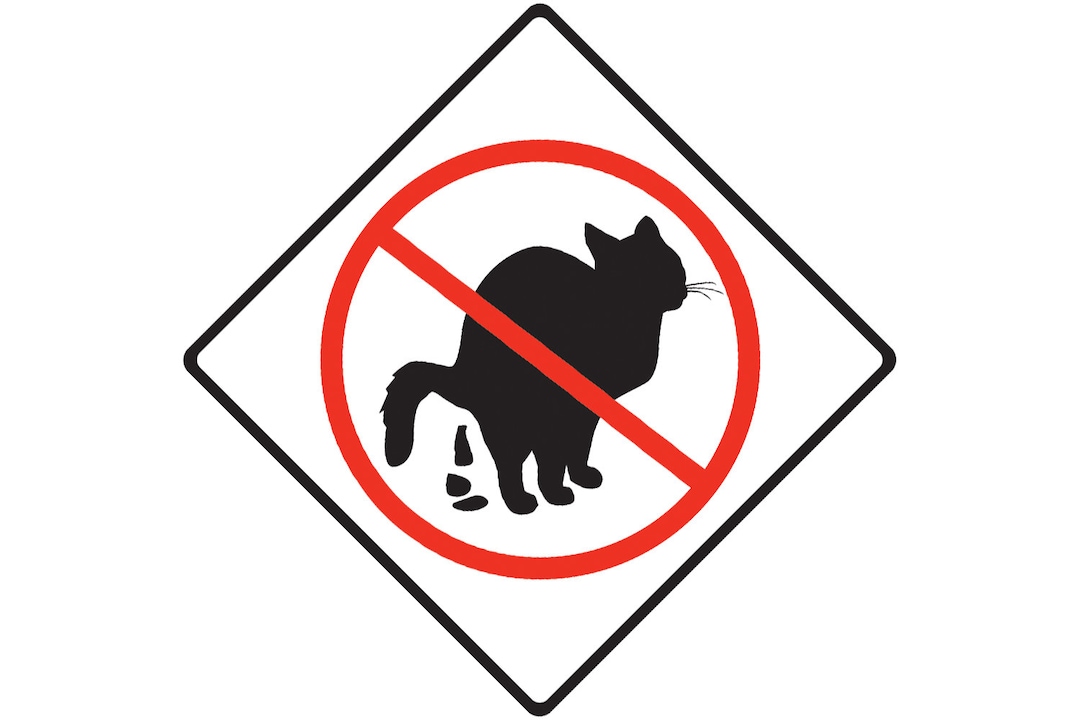 No Cat Pooping With Cat Pooping Image Aluminum Sign or Vinyl Sticker - Etsy