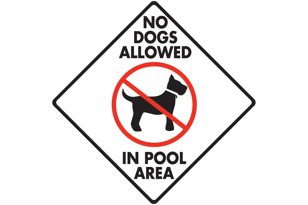 No Dogs Allowed in Pool Area Aluminum Dog Sign or Vinyl - Etsy