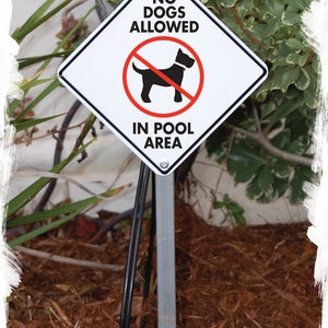 No Dogs Allowed in Pool Area Aluminum Dog Sign or Vinyl - Etsy