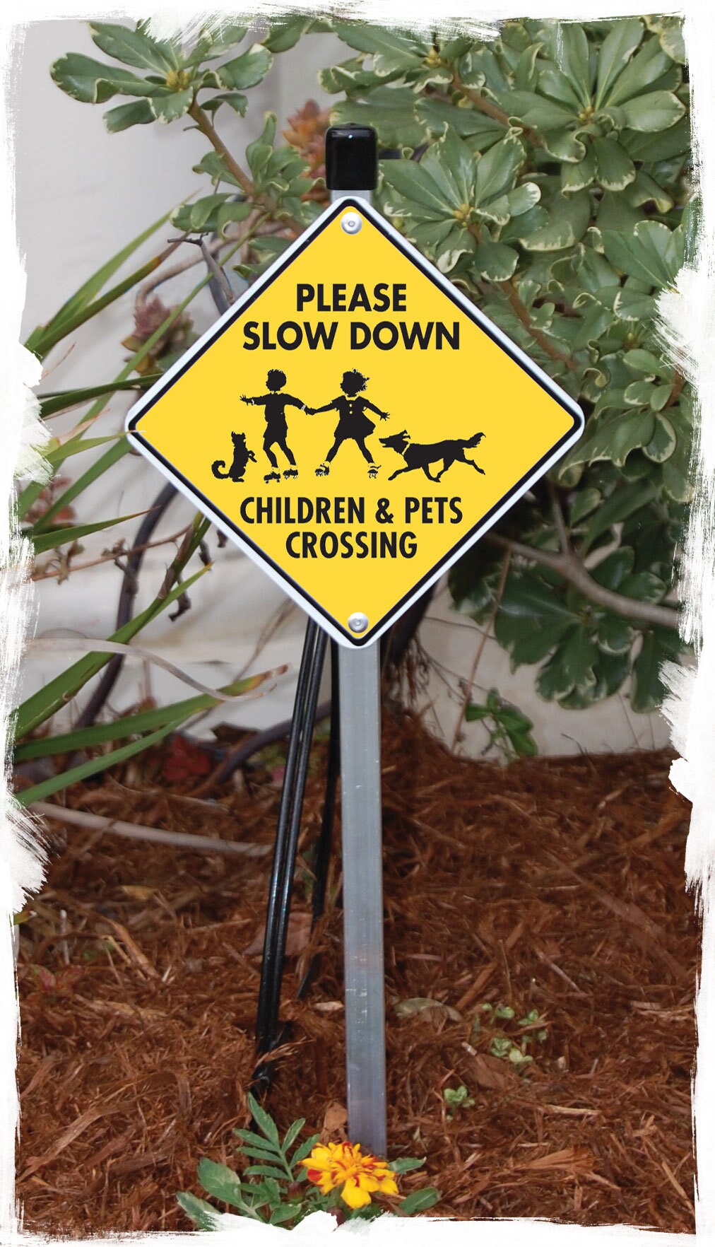 Caution! Please Slow Down Children and Pets Crossing Aluminum Dog Sign ...