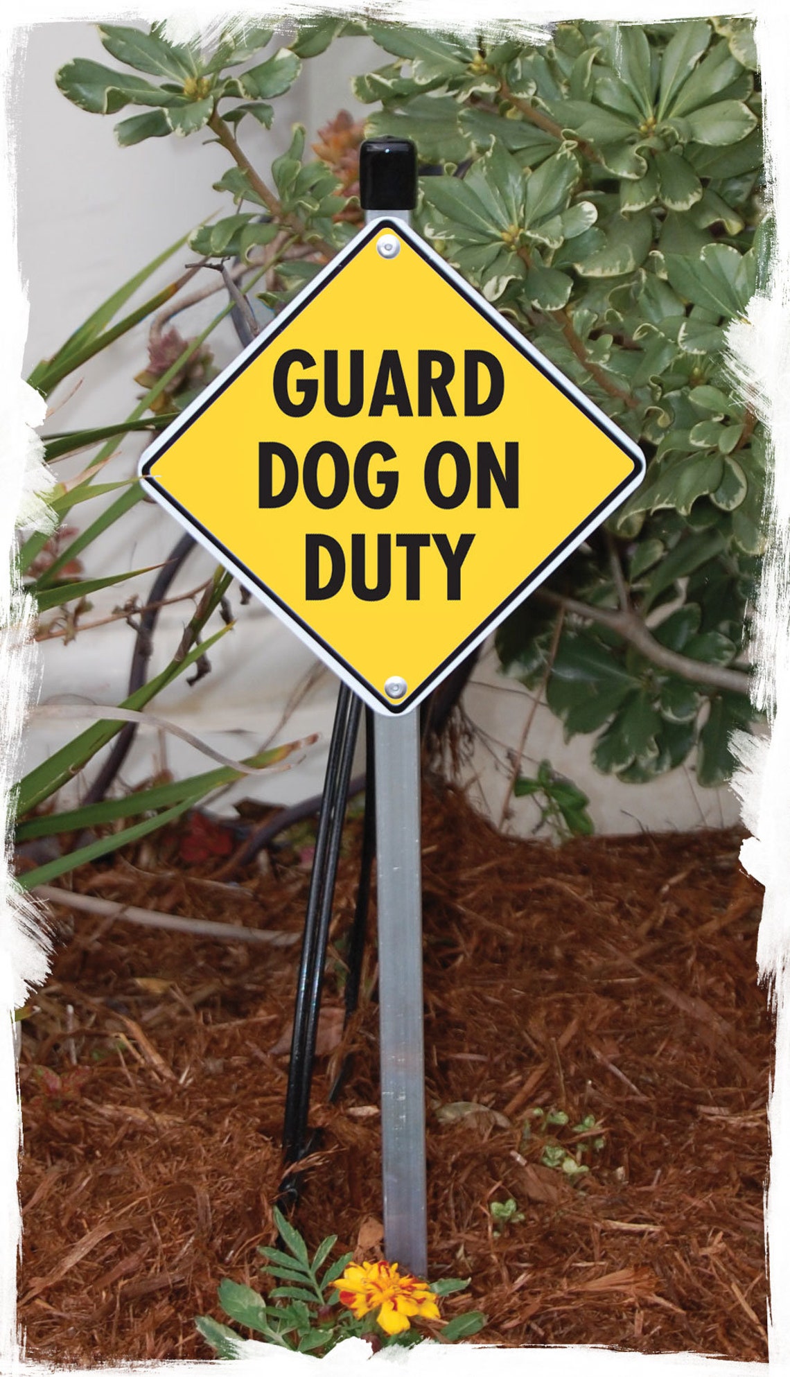 Guard Dog on Duty Aluminum Dog Sign or Vinyl Sticker - Etsy