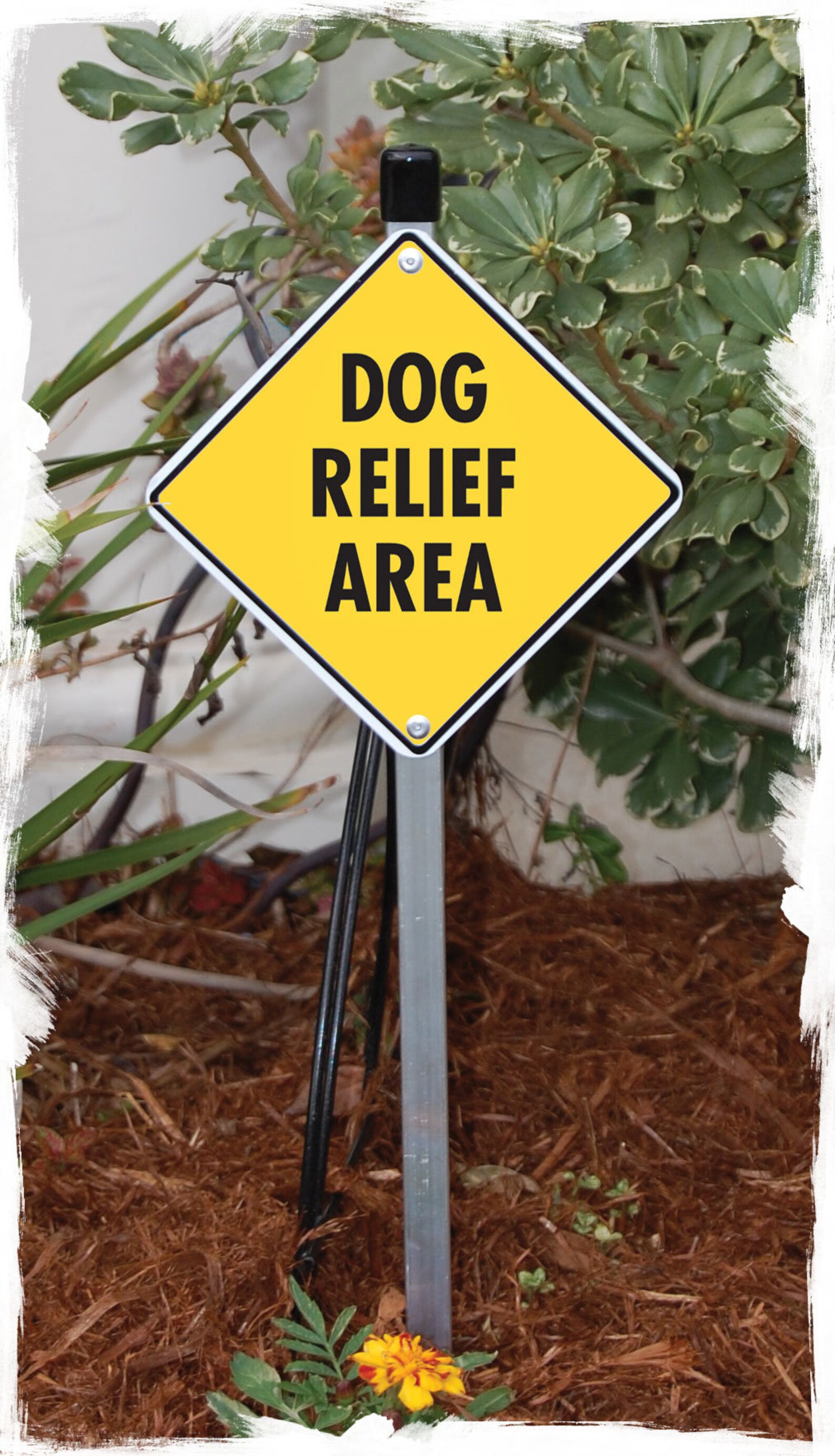 Dog Relief Area Aluminum Sign or Vinyl Sticker - Etsy