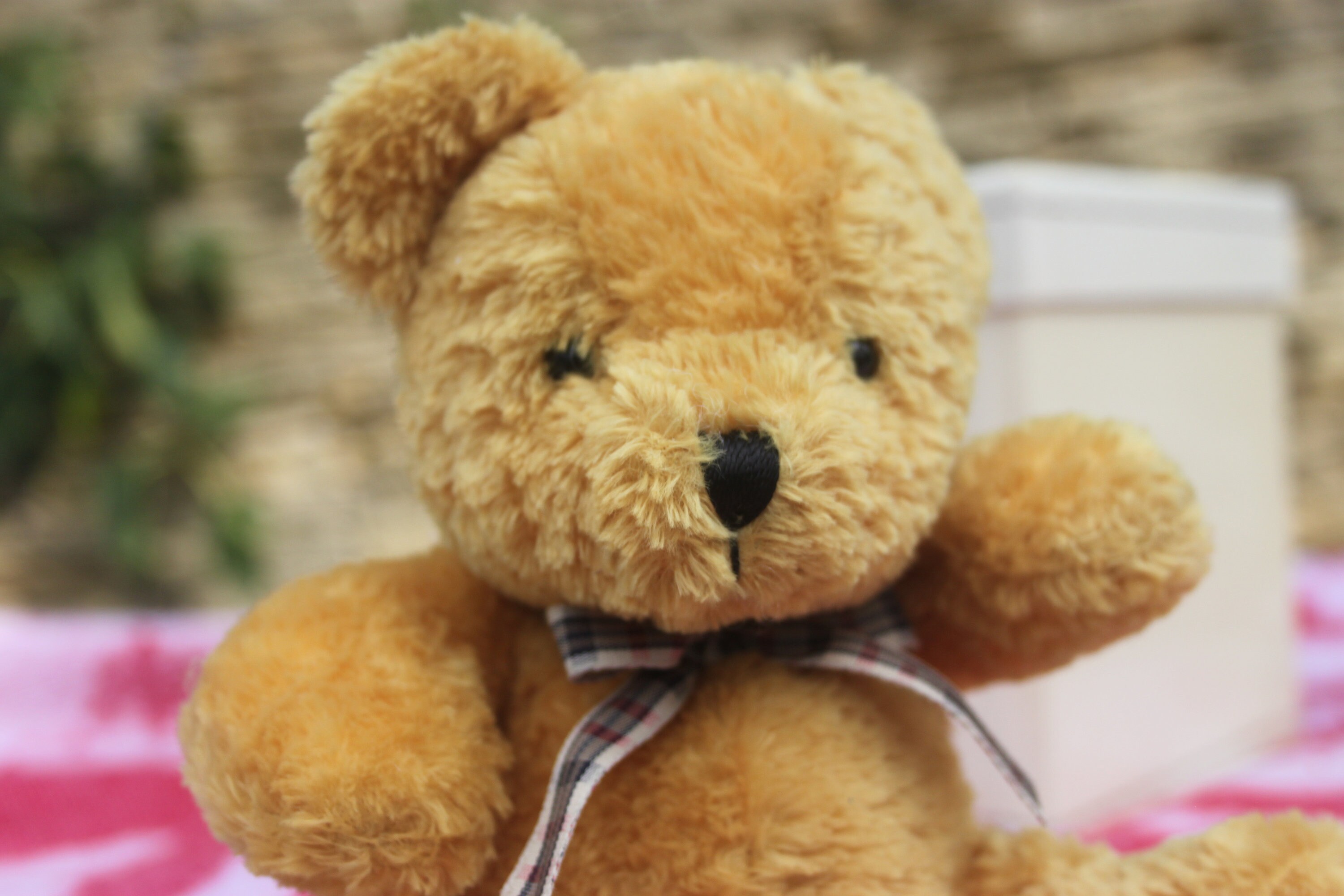 Plush Unjointed Golden Teddy Bear Lovely Colour as New - Etsy