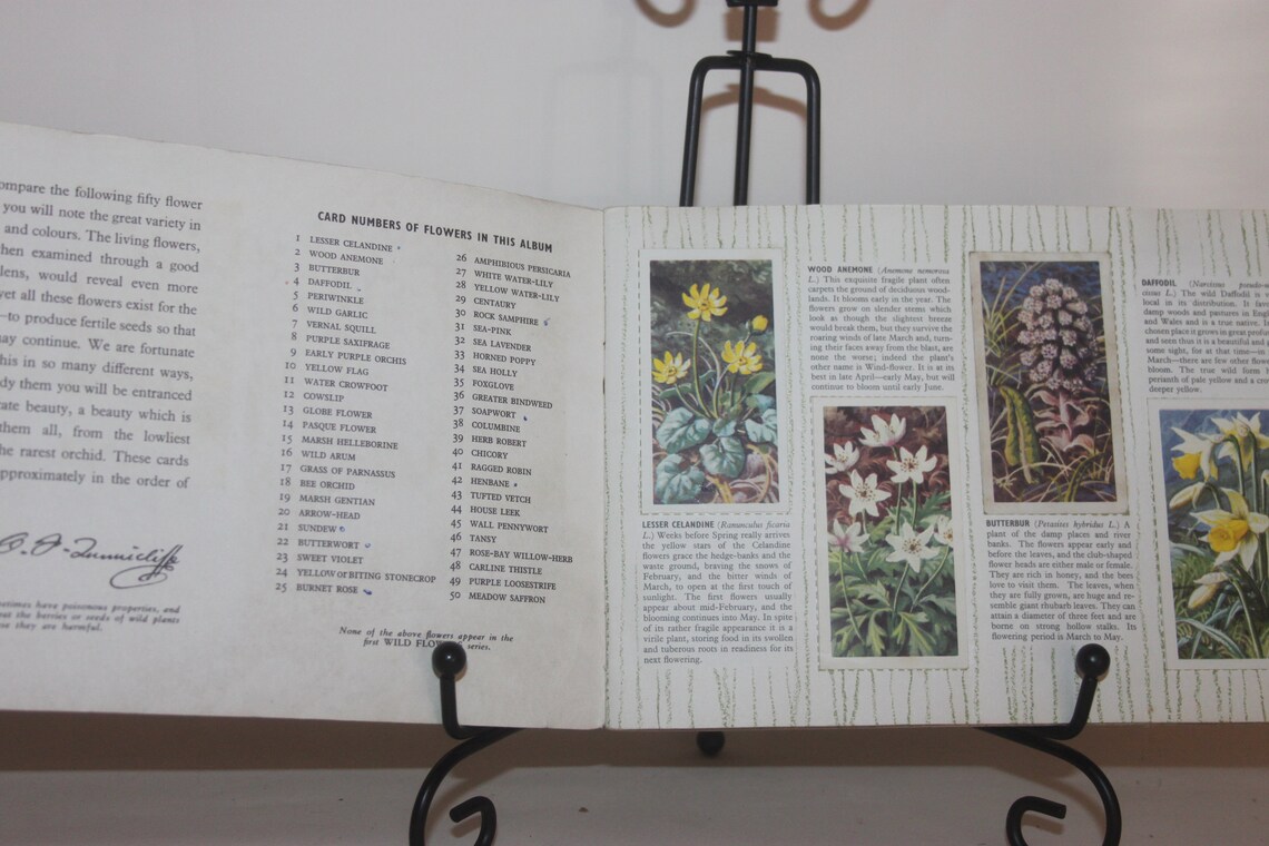 Brooke Bond Picture Cards Wild Flowers C F Tunnicliffe Tea - Etsy