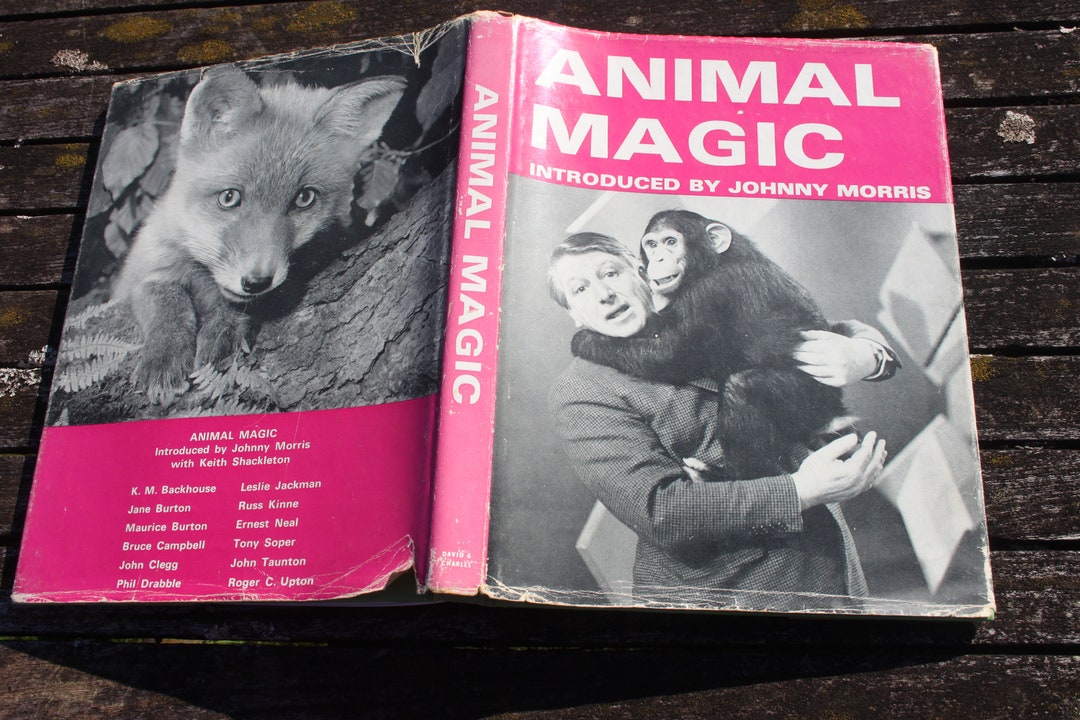 Animal Magic Annual, Johnny Morris, Wild Animal Television Programme ...