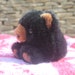 Vintage Plush Swibco Bear Puffkins Benny Black Bear, No Swing Tag, Cute ...