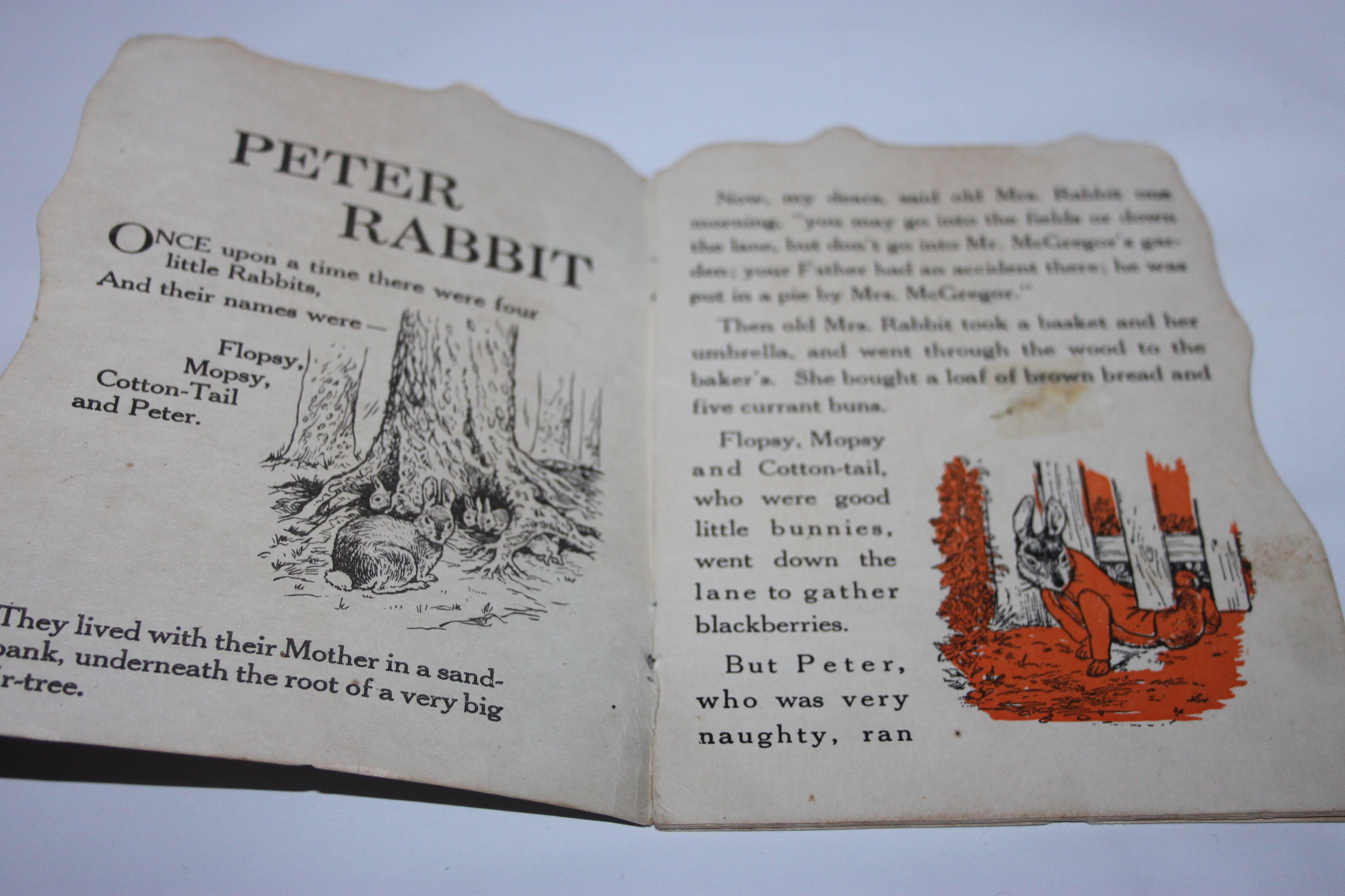 The Story of Peter Rabbit, Charles E Graham, Newark, New Jersey and New ...