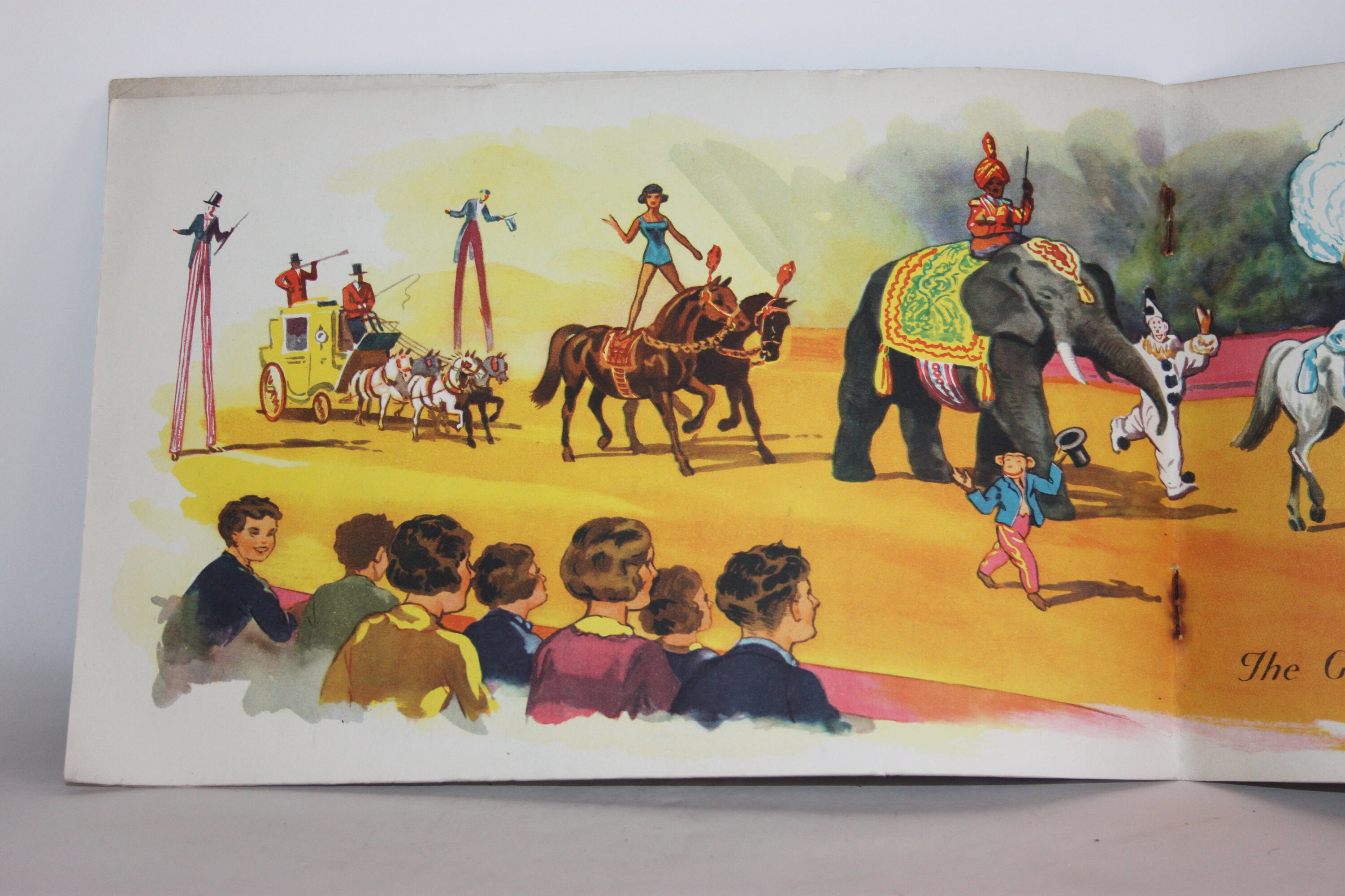 Circus Fun Children's Book Soft Covers Colour - Etsy