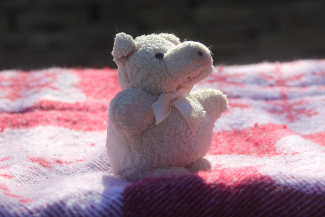 Small Plush Toy Pig, Elgate Products, Pale Pink, Playworn, Child's Toy ...