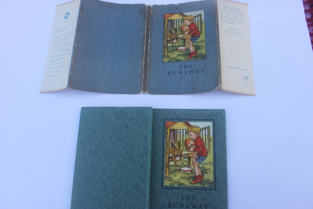 Vintage Ladybird Book the Runaway 2nd Edition 1949 Series 401 Rabbit ...