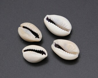 46 Beige Drilled Cowrie Shells Large: Natural Seashell Shells for ...