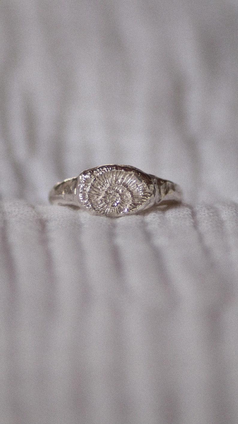 Ammonite Ring 925 Sterling Silver Ring 'silver Ammonite' Fossil Ring - Etsy
