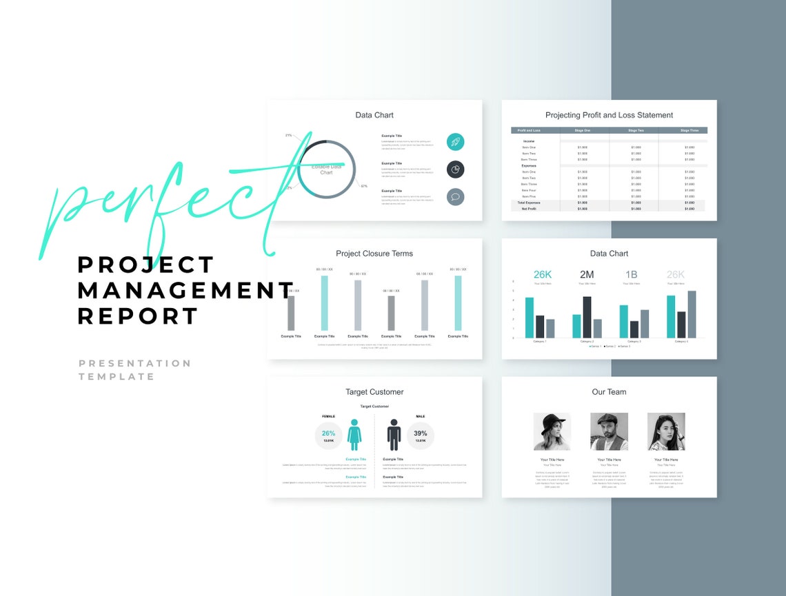 Project Management Report Presentation Powerpoint Template Business ...