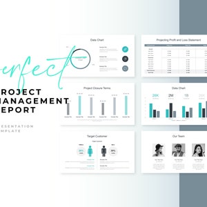 Project Management Report Presentation Powerpoint Template | Business ...